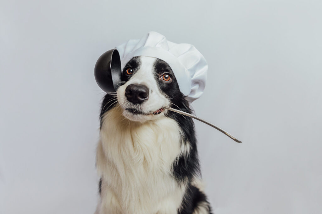 How to Make Dog Food: The 6 Easy Steps